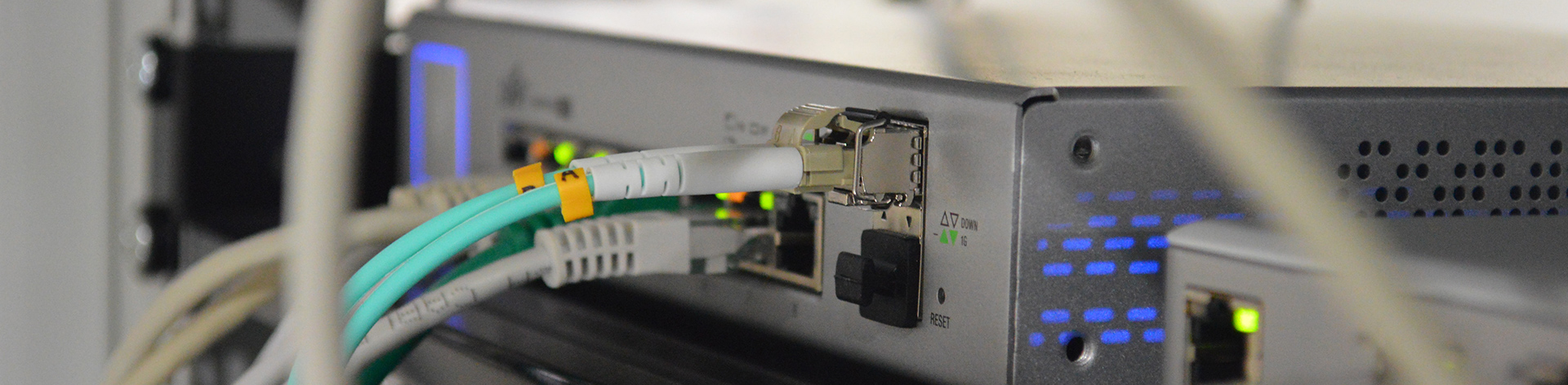 EMS | Maximale winst | Emmett Green